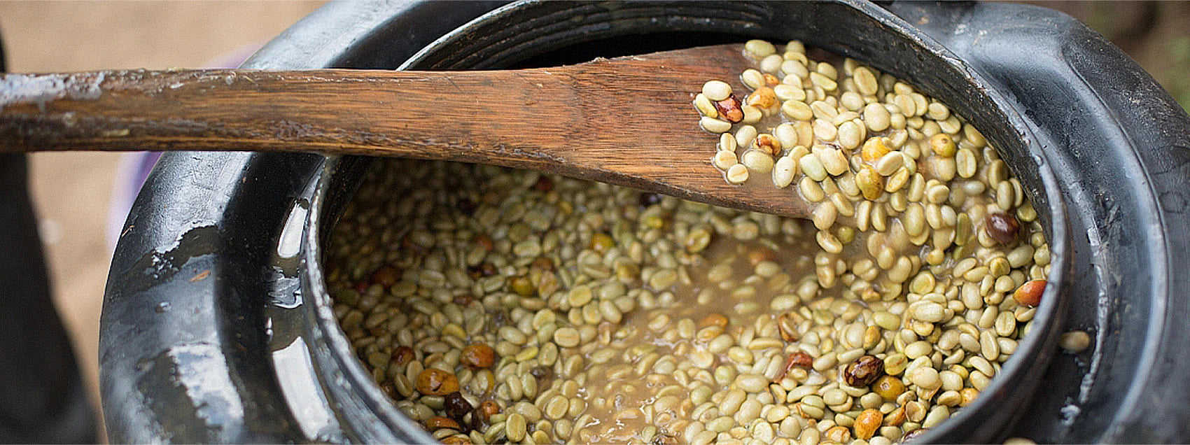 ¿Qué es la Fermentación Anaeróbica del Café?