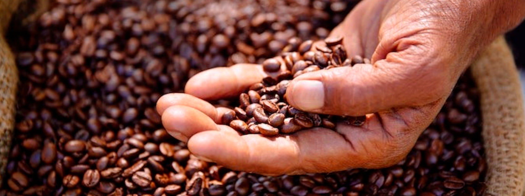 Descubre el café torrefacto: aroma y sabor únicos en tu taza ...