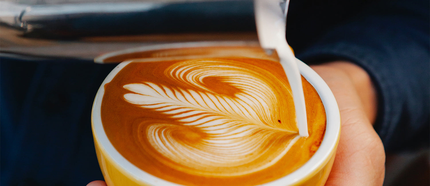 The Art of Microfoam in Coffee: Everything You Need to Know